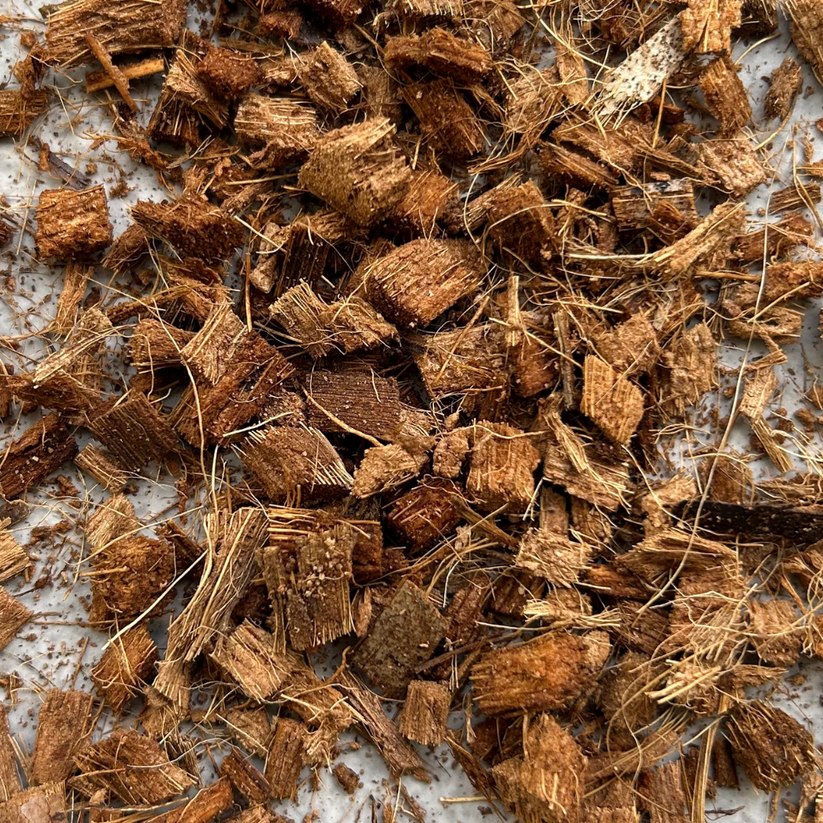 Coco Chunks - PICKUP/ACT DELIVERY – Planti Peeps