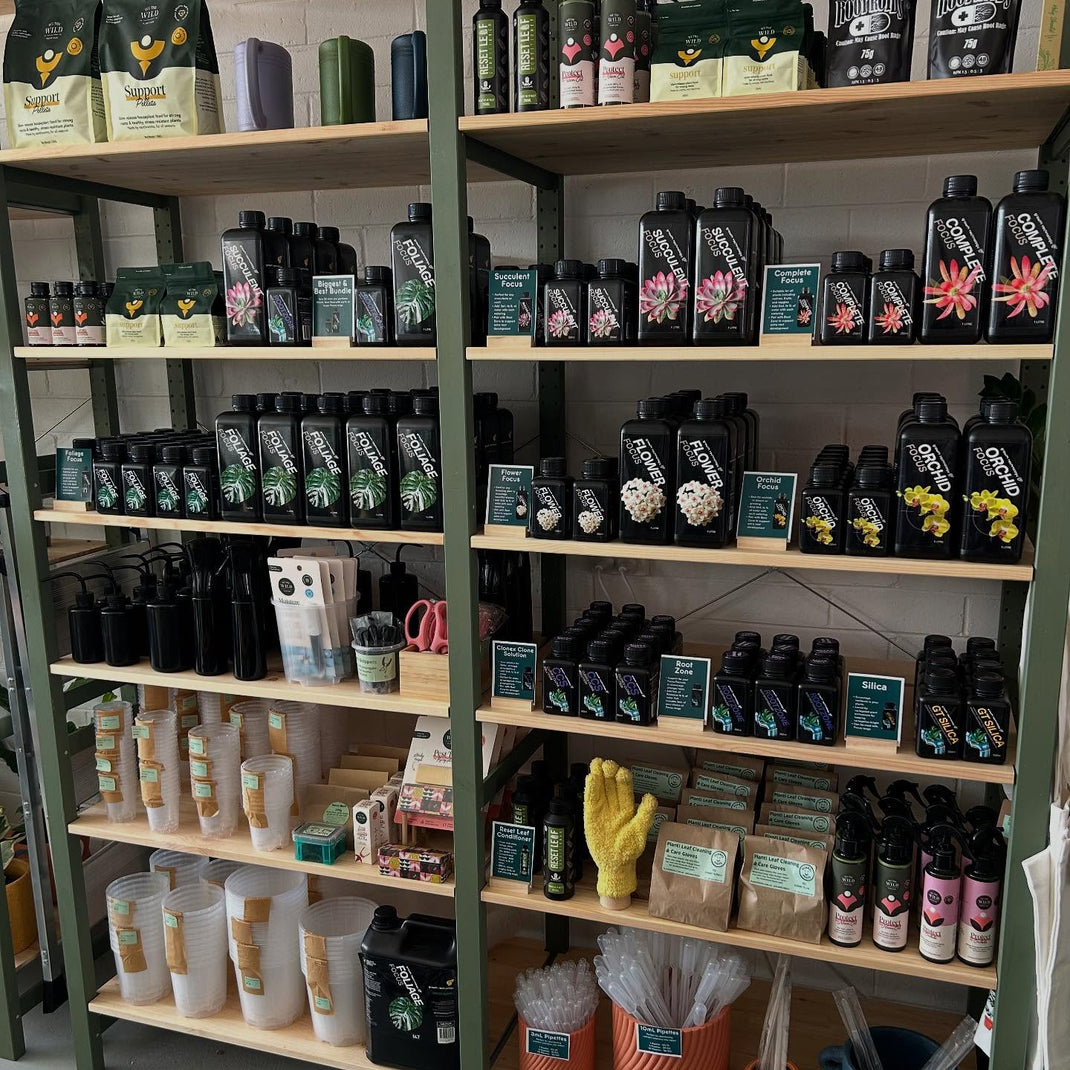 Visit our Fyshwick Shop - Planti Peeps – plantipeeps